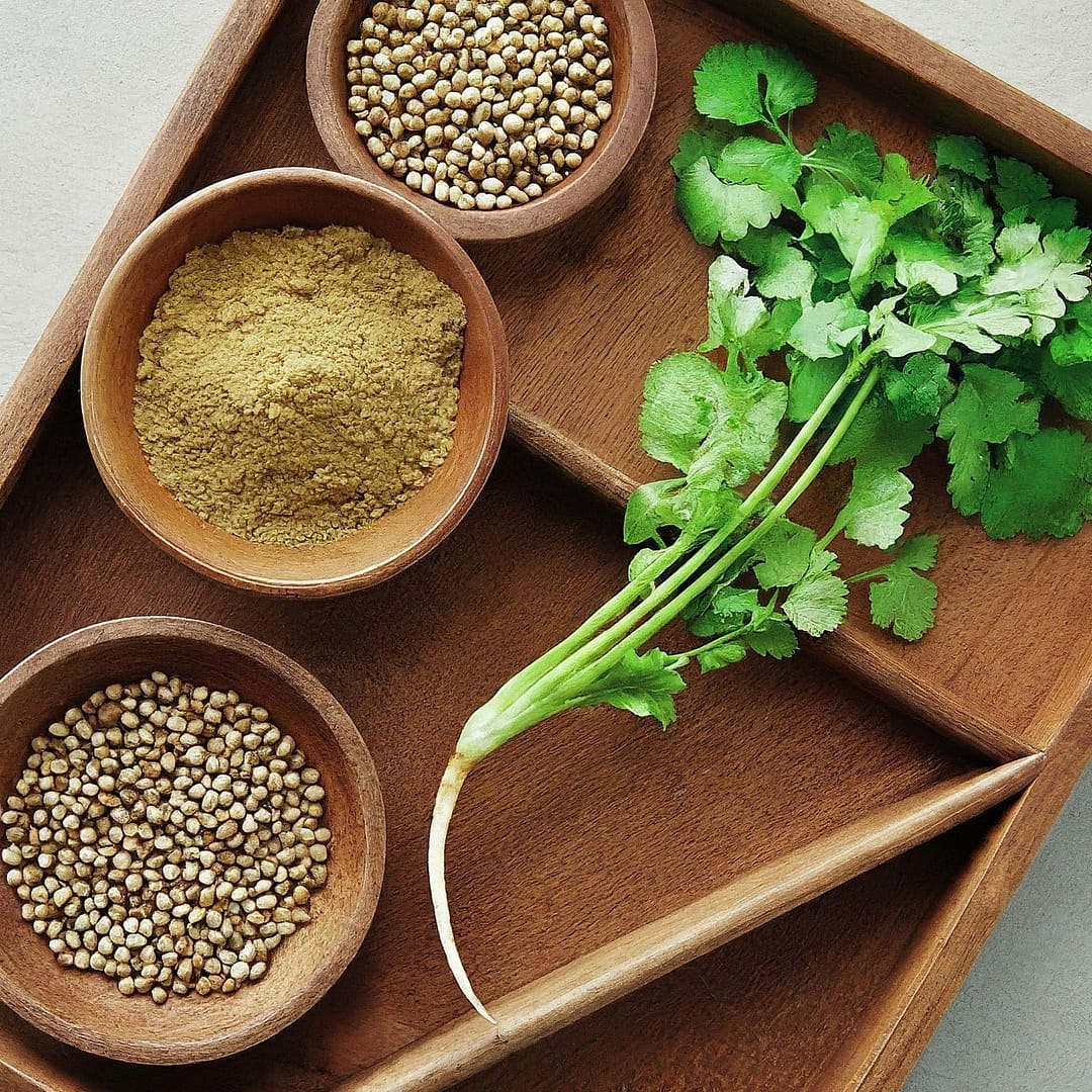 7 Best Mexican Oregano Substitutes Can Be Helpful in Feast